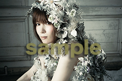 Ceui | Artist | Lantis web site