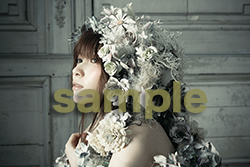 Ceui | Artist | Lantis web site