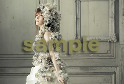 Ceui | Artist | Lantis web site