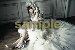 Ceui | Artist | Lantis web site